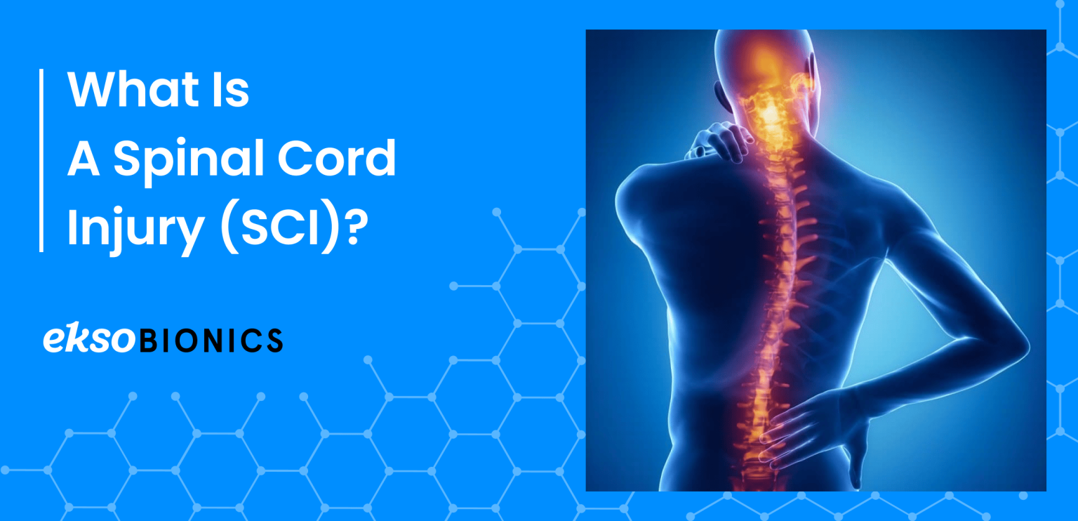 Why Physical Therapists Should Use Exoskeletons For Spinal Cord Injury ...